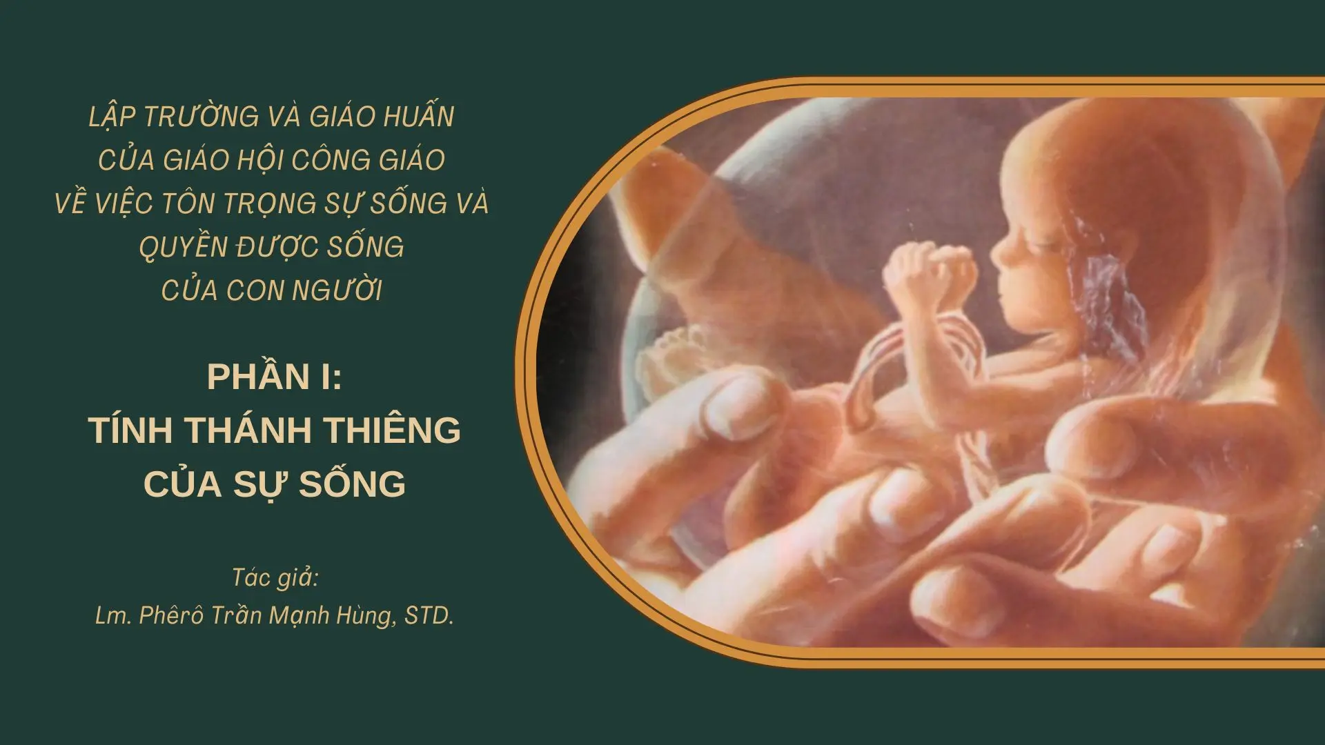 Lập trường và giáo huấn của Giáo hội Công giáo về việc tôn trọng sự ...